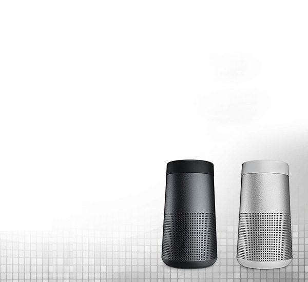 6 – Berovan Marketing Inc